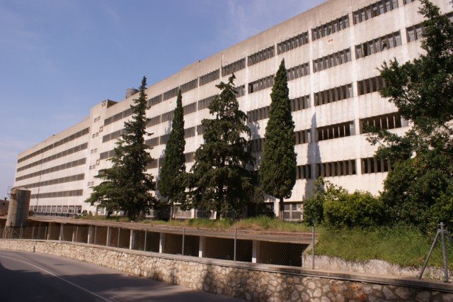 Ultima visita: Factoría Avidesa: El criadero de pollos